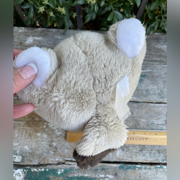 Daekor | Toys | Vintage 98 Daekor Potbellied Raccoon Stuffed Animal ...